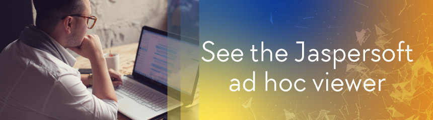 Clarity PPM | See the Jaspersoft Ad Hoc Viewer